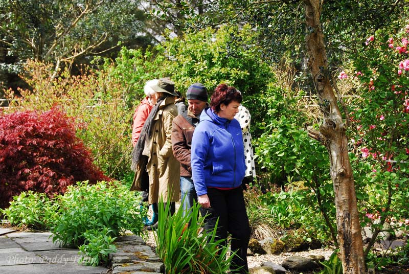 AGM 2003 Stephen Austen's Garden (10) - Irish Garden Plant Society