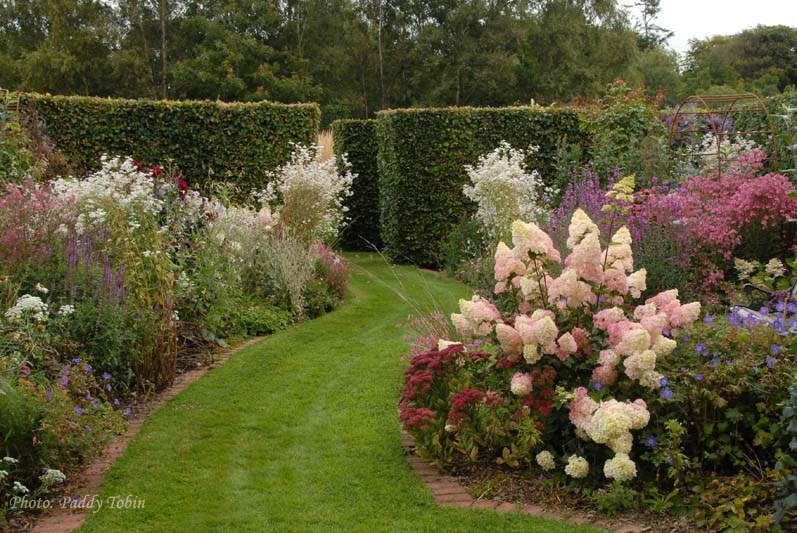 The Bay Garden - Always a Delight - Irish Garden Plant Society