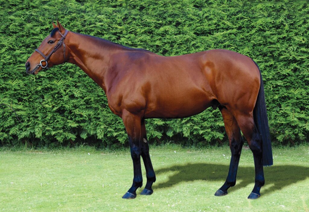 Strath-Burn - Irish Garden Plant Society