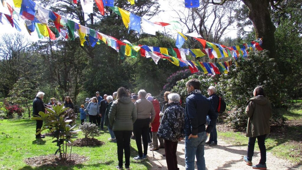 Highlights of the visit to Kilmacurragh Botanic Gardens - Irish Garden ...