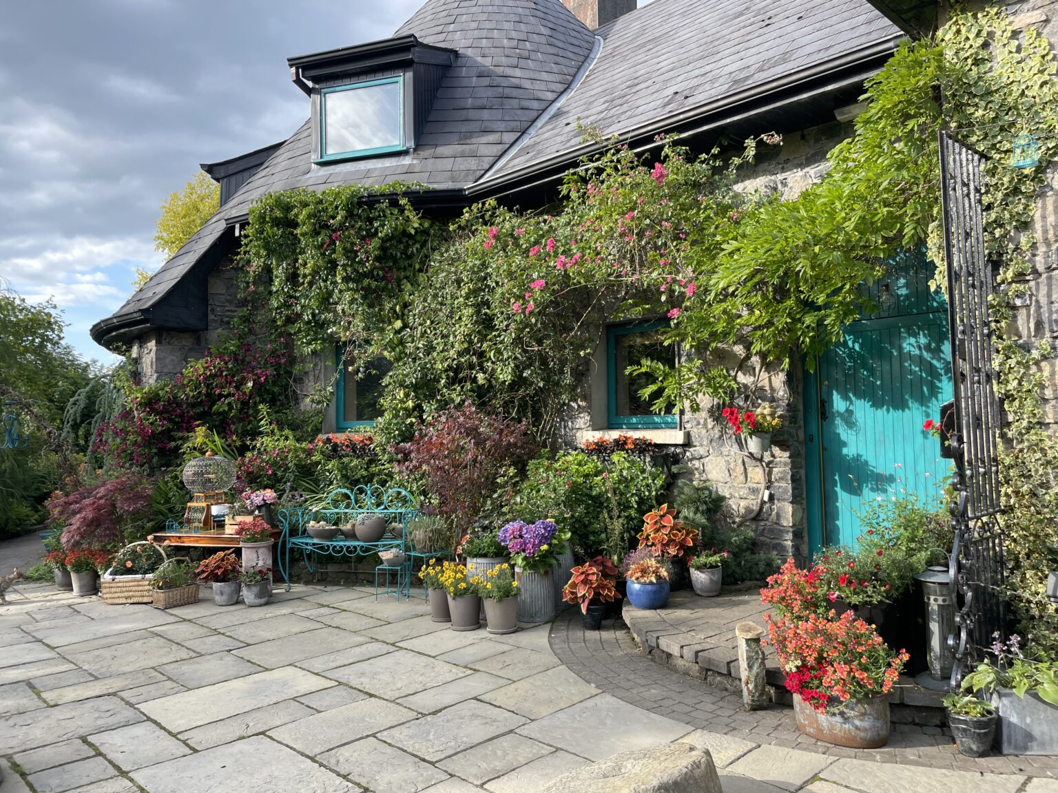 Two Meath Garden Visits and Lunch - 15th June 2024 - Irish Garden Plant ...