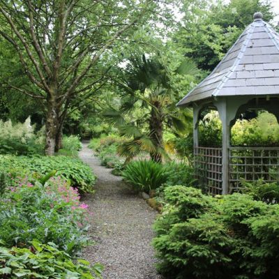 Irish Garden Plant Society - Researching, finding & propagating Irish ...